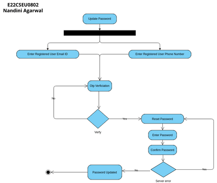E22CSEU0802 Nandini Agarwal Update Profile Password | Visual Paradigm ...