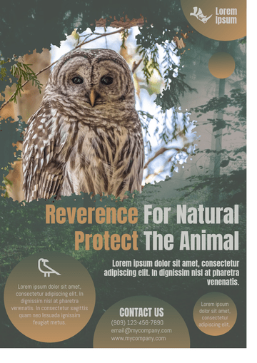 Buy Molly/Oxycontin/LSD in Trieste [ Telegram @KRISURF] | Visual ...