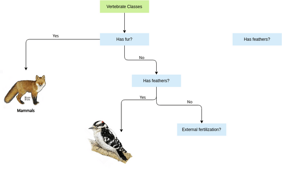 Ejemplo Dichotomy | Visual Paradigm User-Contributed Diagrams / Designs